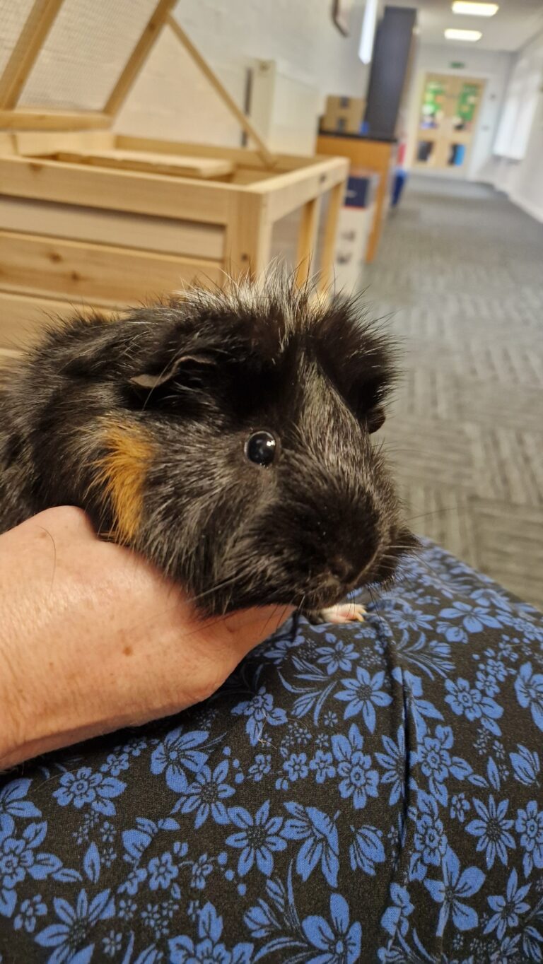 School Pets | Leagrave Primary School